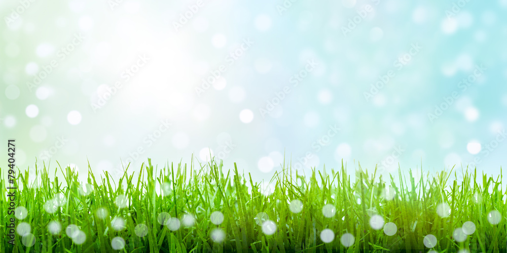 grüne Wiese mit Bokeh Hintergrund Stock-Foto | Adobe Stock