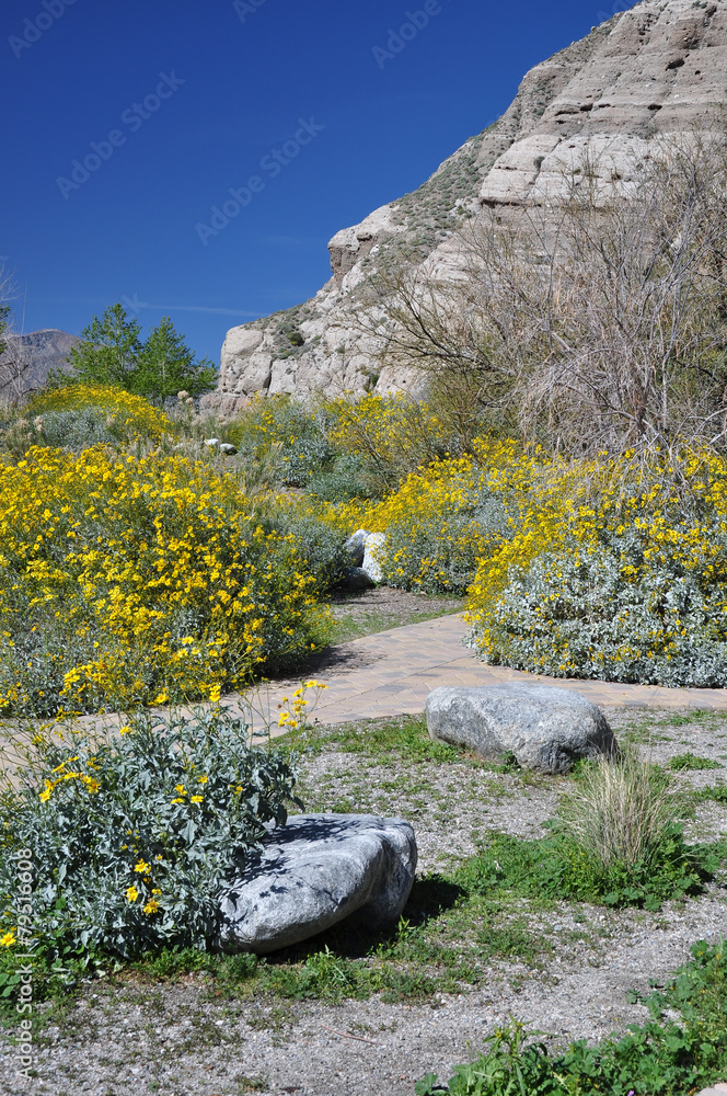 Desert Pathway Stock Photo | Adobe Stock