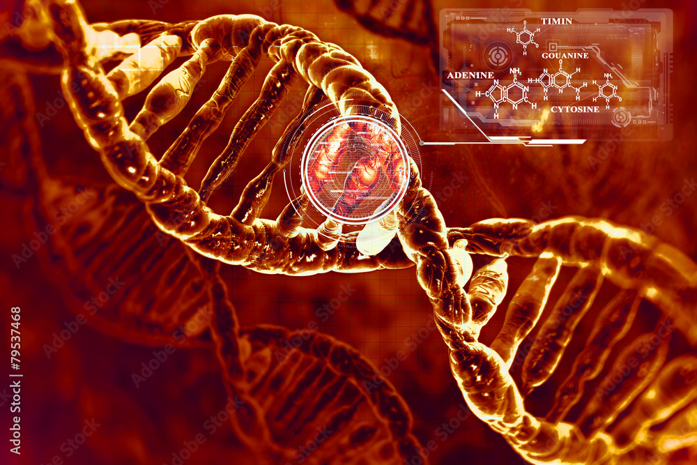 Photo Digital illustration of DNA and its chemical formula, vitstudio ...