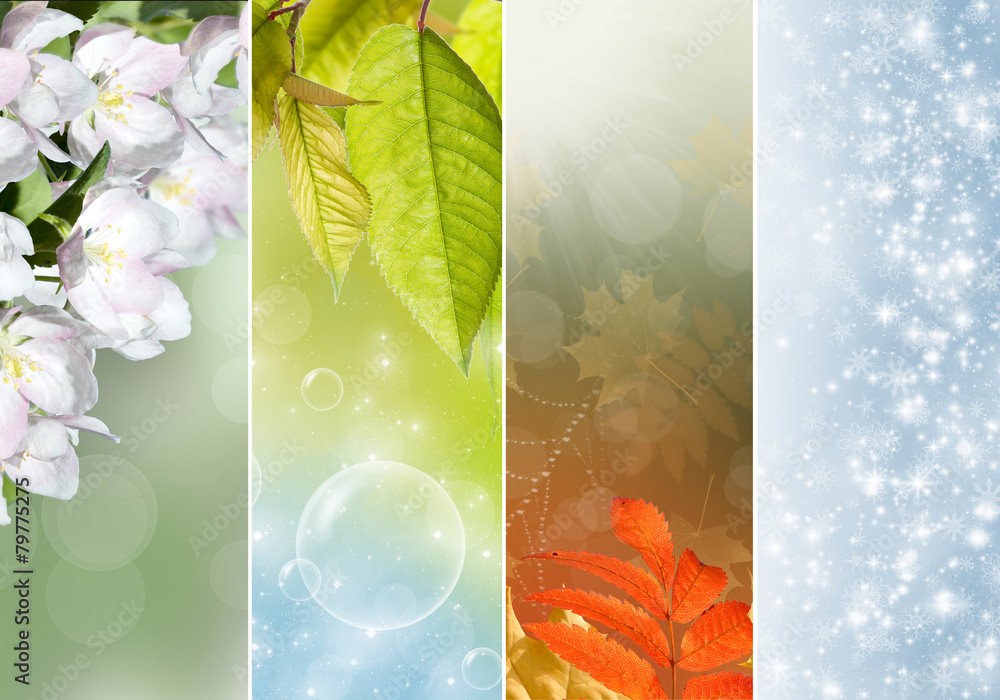 seasons Stock Photo | Adobe Stock