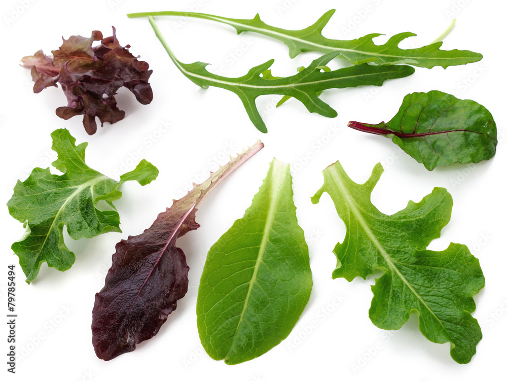 Salatblätter Stock-Foto | Adobe Stock