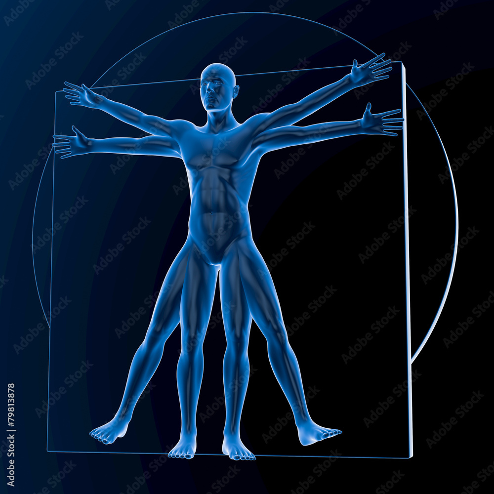 Da Vinci Vitruvian Man, transparent Stock Illustration | Adobe Stock