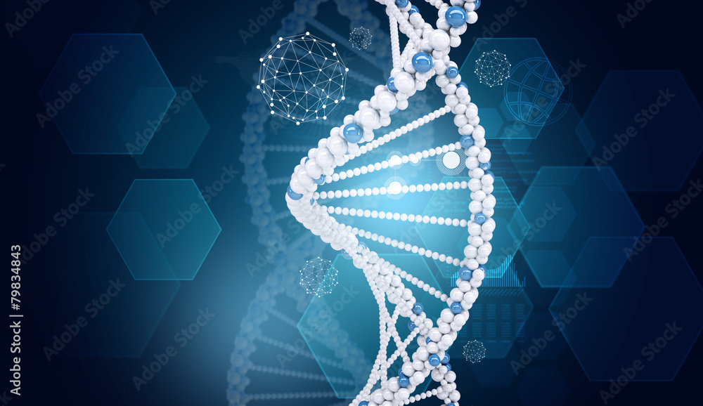 Human DNA. Background of hexagons world map, graph, wire-frame Stock ...