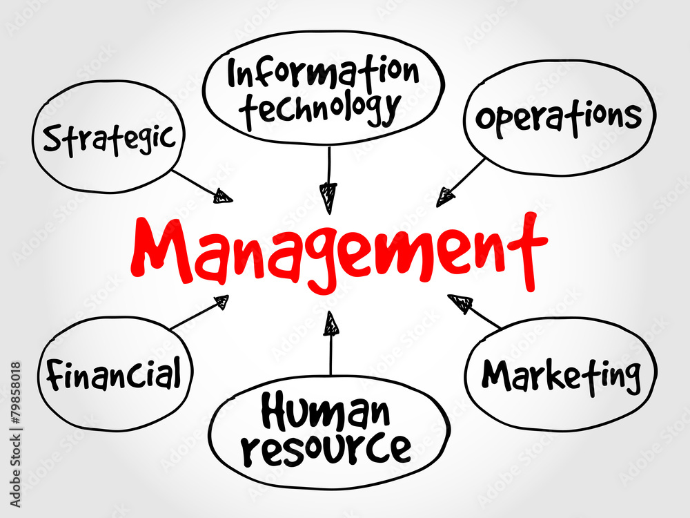 Management mind map business strategy concept Stock Vector | Adobe Stock