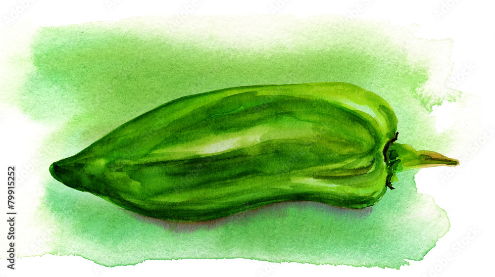 Watercolour drawing of a green pepper with a textured background Stock ...