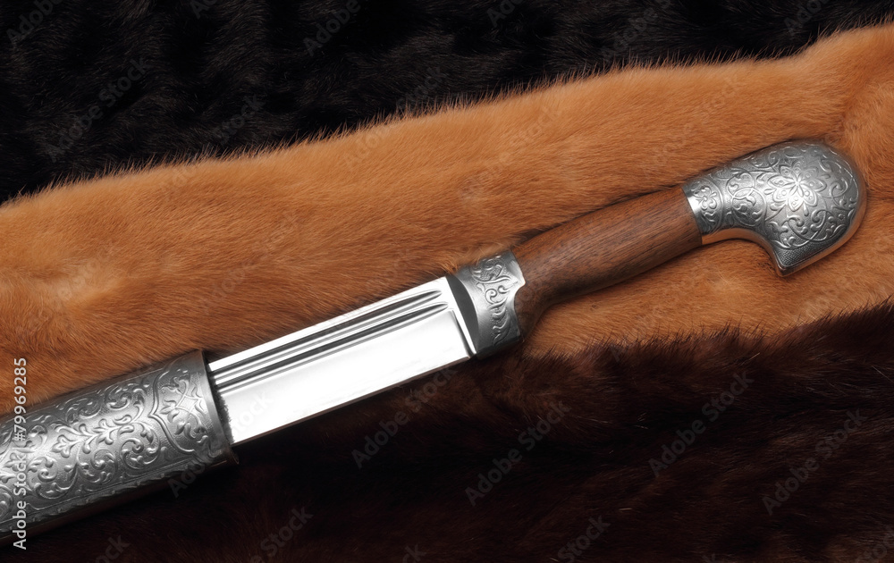 Circassian cavalry sword half-pulled from sheaths closeup Stock Photo ...