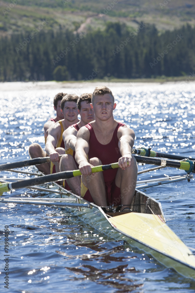 Coxless four rowing boat in water Stock-Foto | Adobe Stock