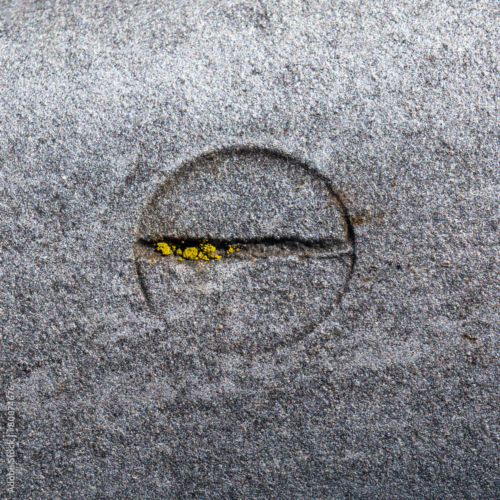 srew with plants Stock Photo | Adobe Stock