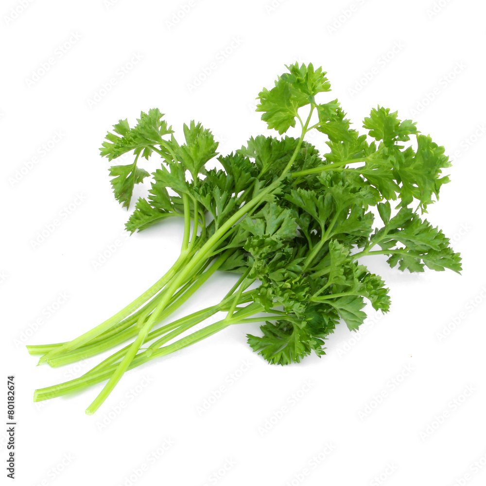 Persil - Parsley - Petersilie foto de Stock | Adobe Stock