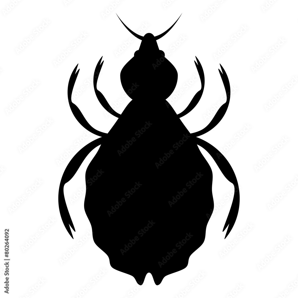 piojo vector Stock Vector | Adobe Stock