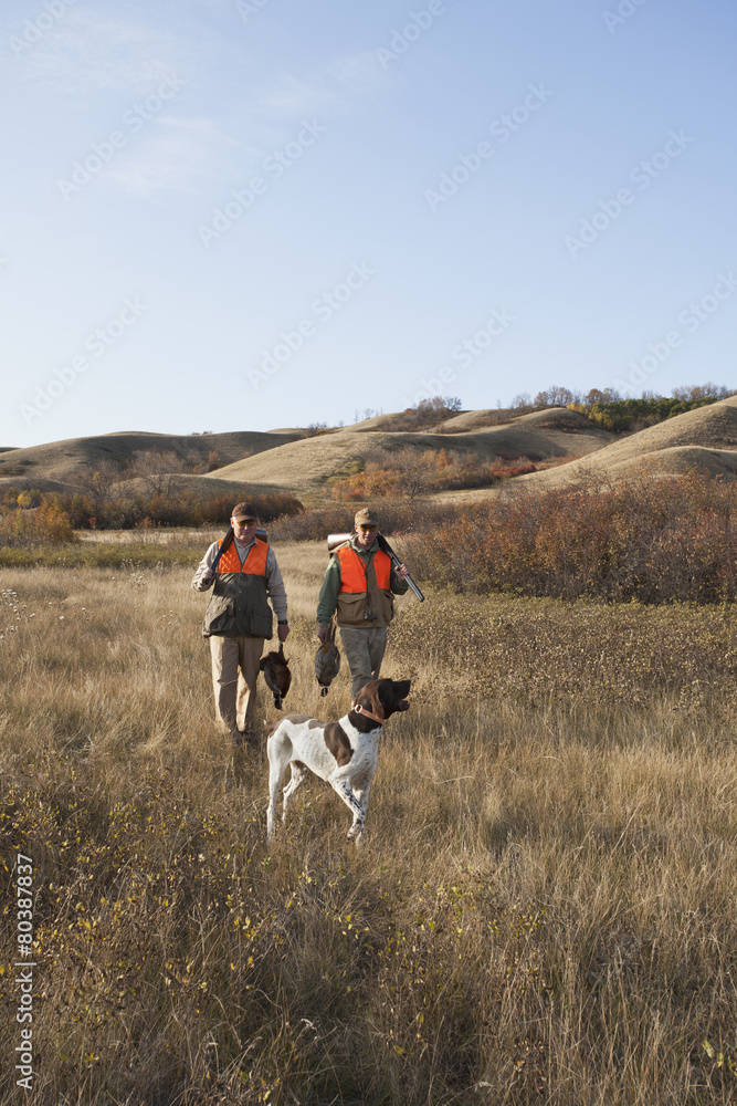 Two hunters and pointer dog in grassy field Stock Photo | Adobe Stock