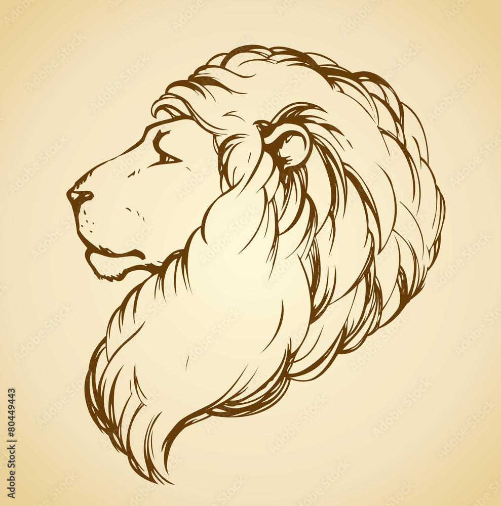 Lion. Vector drawing Stock Vector | Adobe Stock