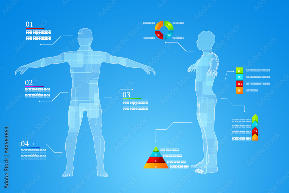 Infographics Human Body Anatomy Stock Vector | Adobe Stock