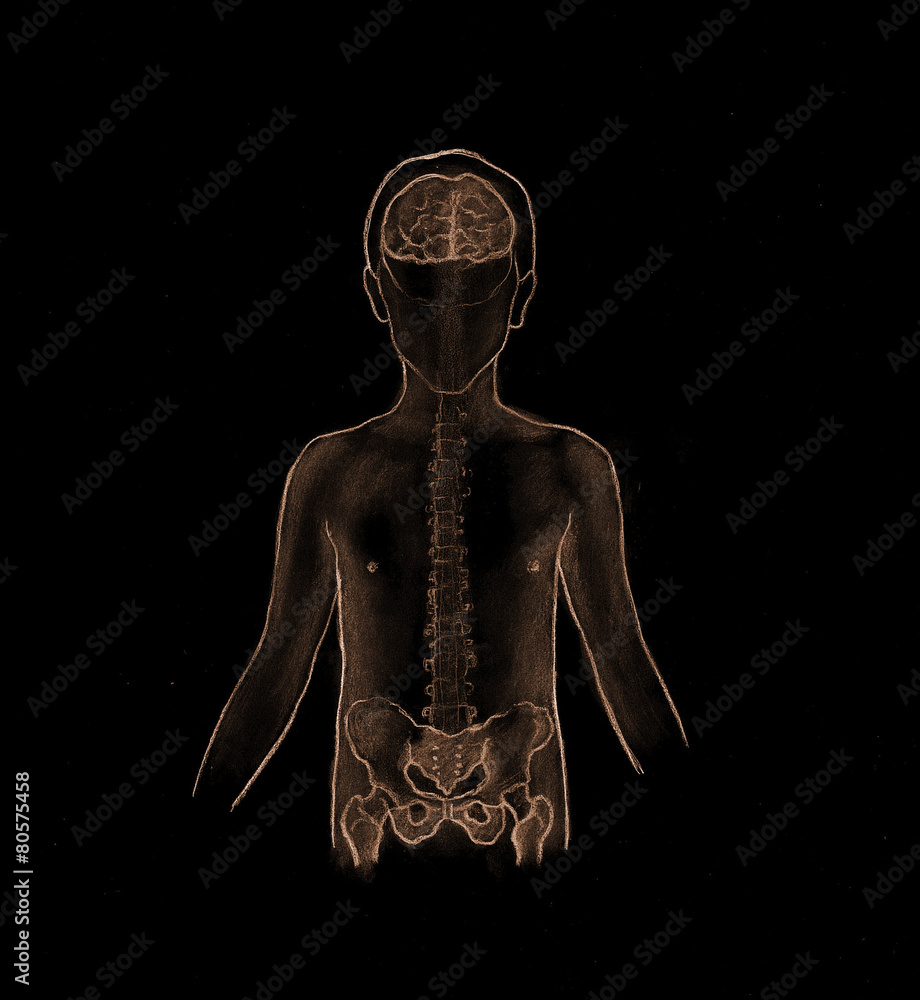 Child Anatomy Stock Illustration | Adobe Stock
