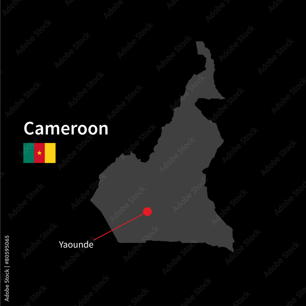 Detailed map of Cameroon and capital city Yaounde with flag on Stock ...