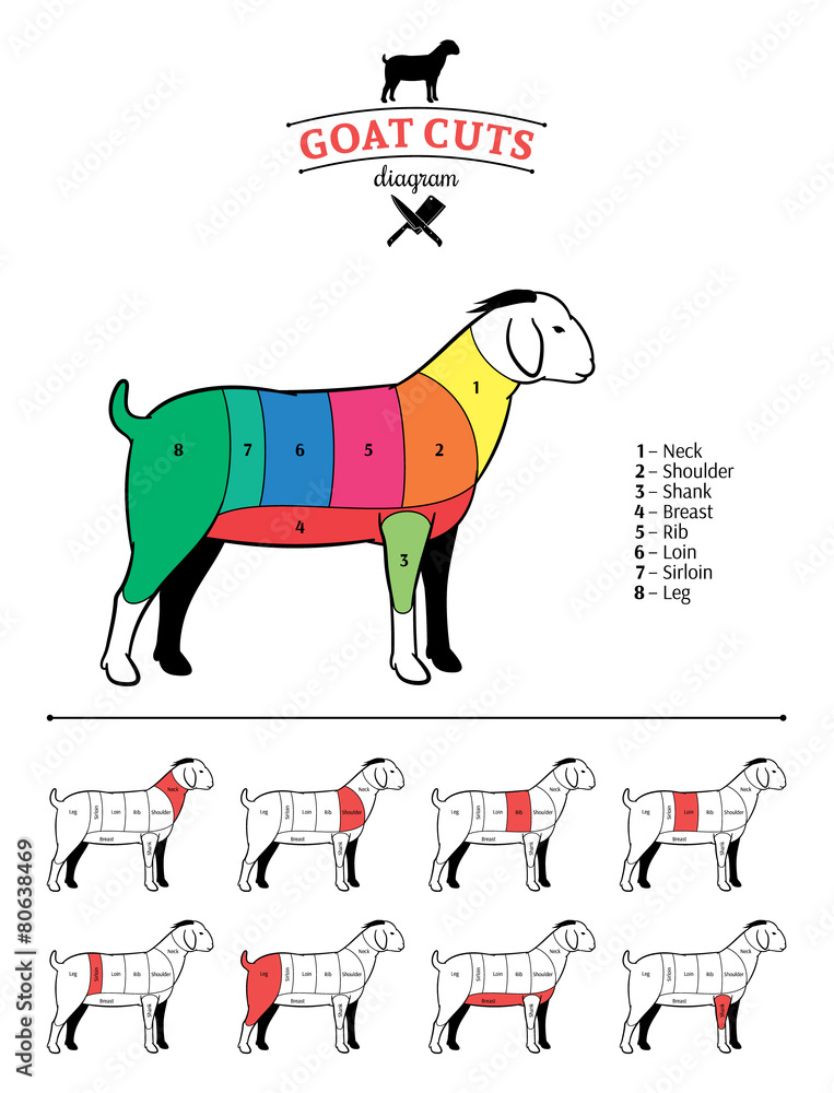 Cuts Of Goat Diagram