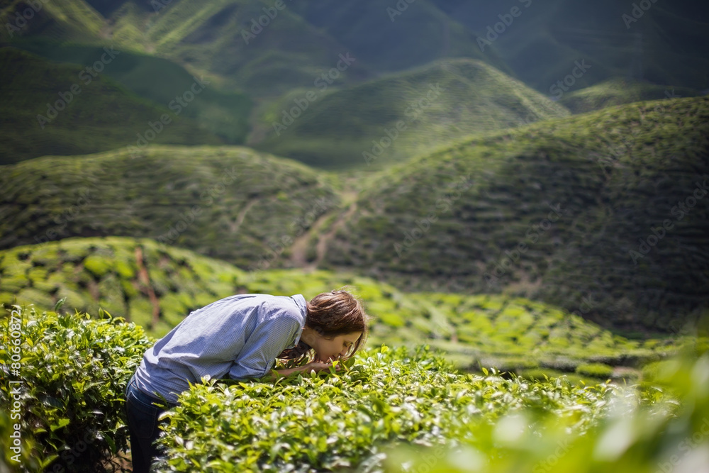 Woman Smelling Tea Leaves Stock Photo | Adobe Stock