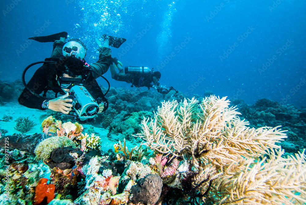 diver take a photo video coral kapoposang indonesia scuba diving Stock ...
