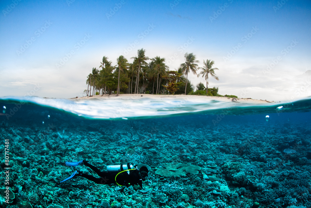 scuba diver coconut island kapoposang underwater bali lombok Stock ...