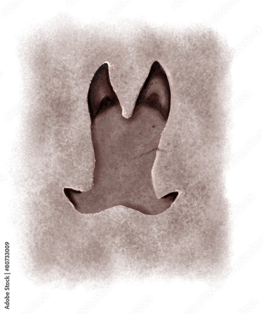Wild boar footprint Stock Illustration | Adobe Stock