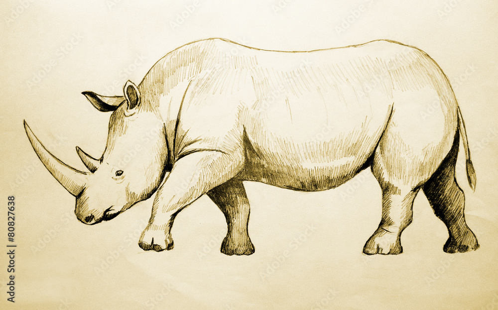 Rhino Sketch, raster version with tracing path Stock Illustration ...