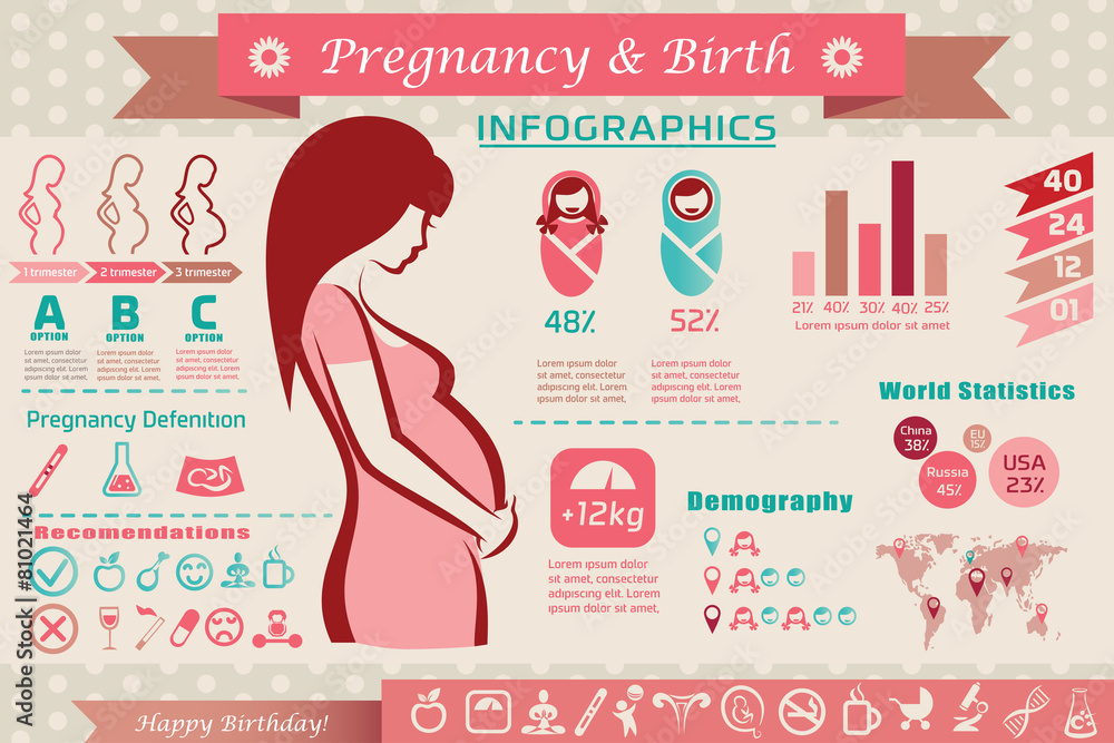 pregnancy and birth infographics, presentation template and icon Stock ...