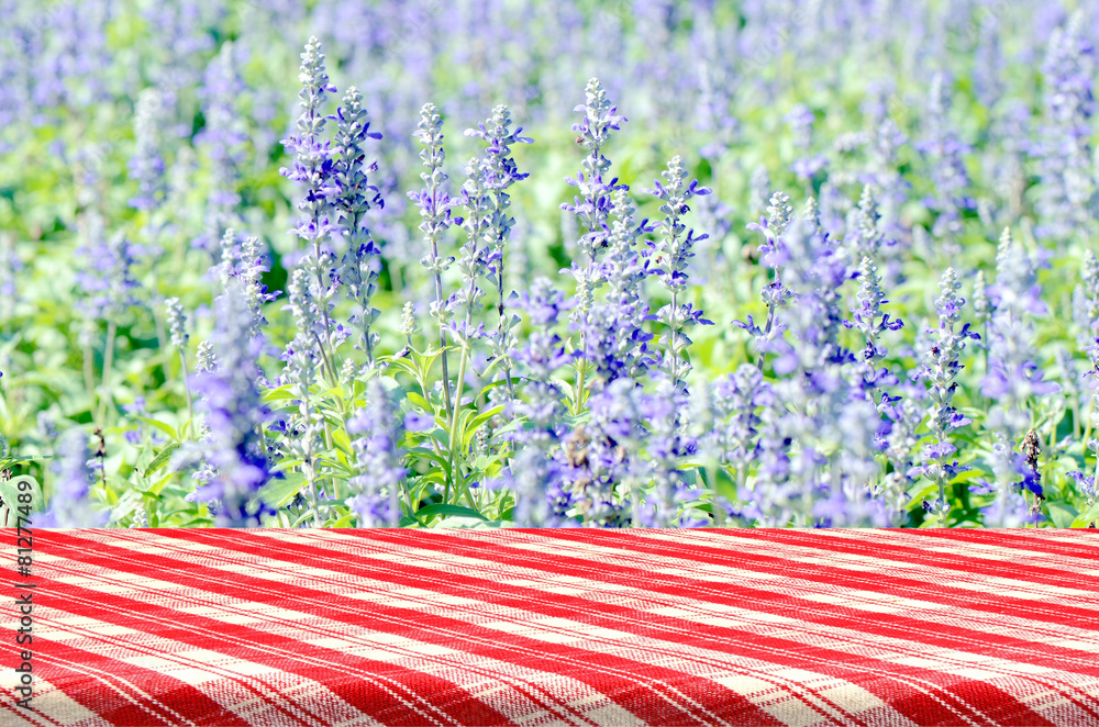 Outdoor Picnic Background with Picnic Table. Stock Photo | Adobe Stock