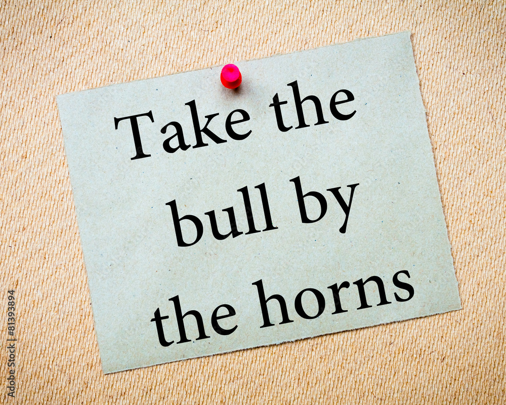 Take The Bull By The Horns
