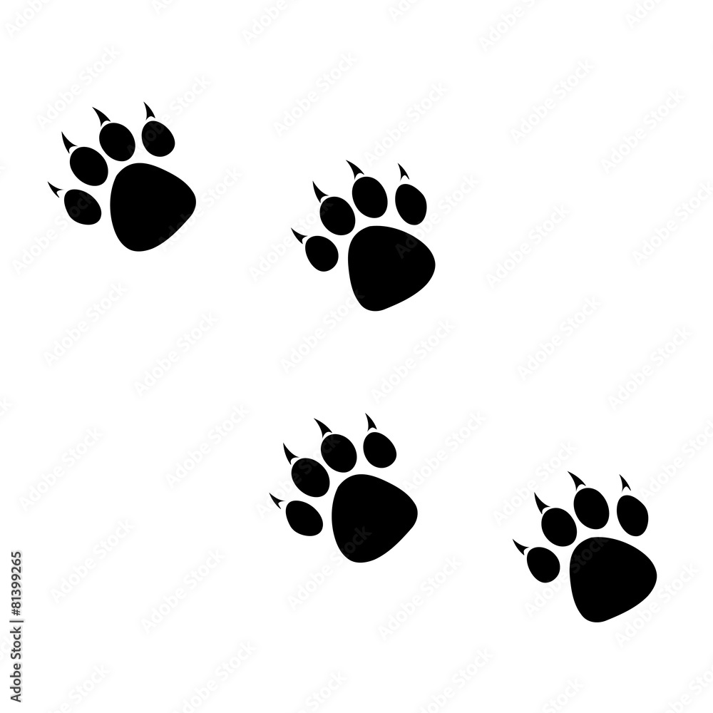 tiger footprint Stock Vector | Adobe Stock