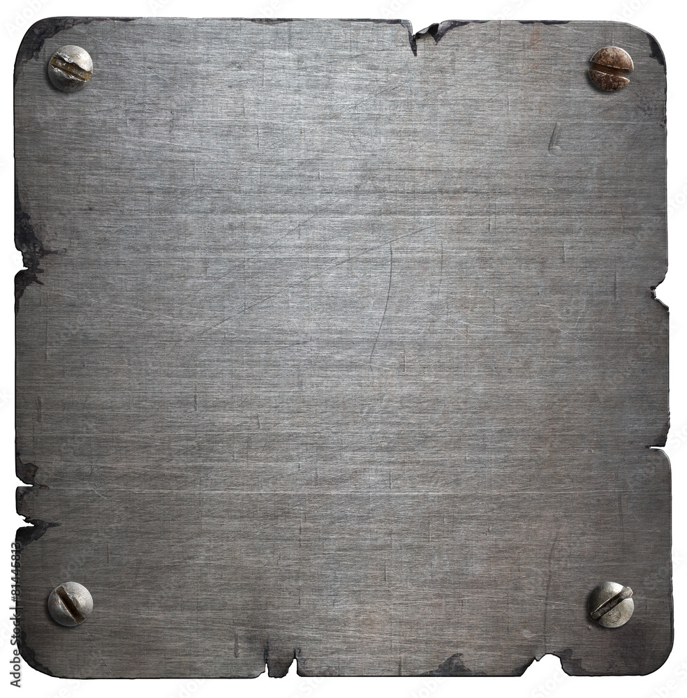 Metal Plate With Screws