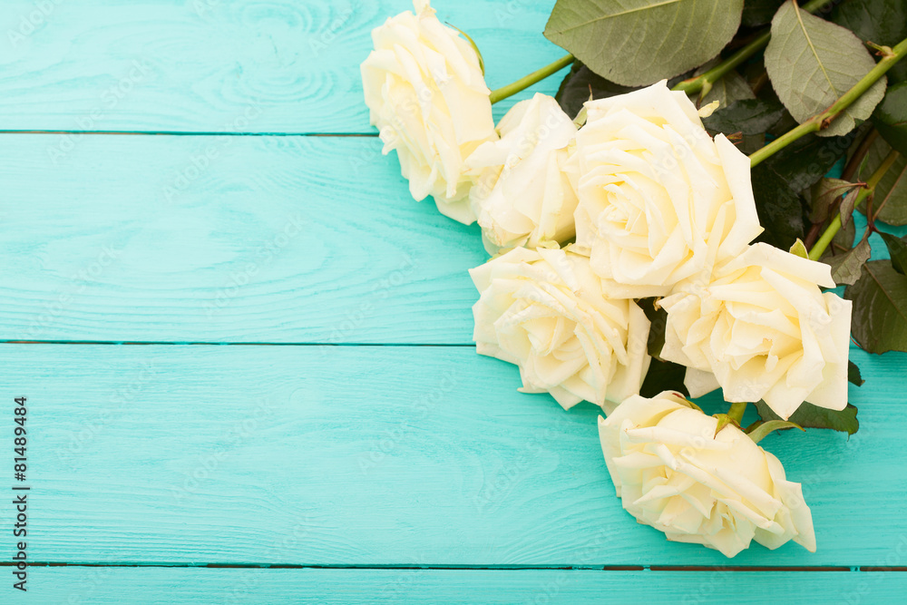White roses on blue wooden background Stock Photo | Adobe Stock