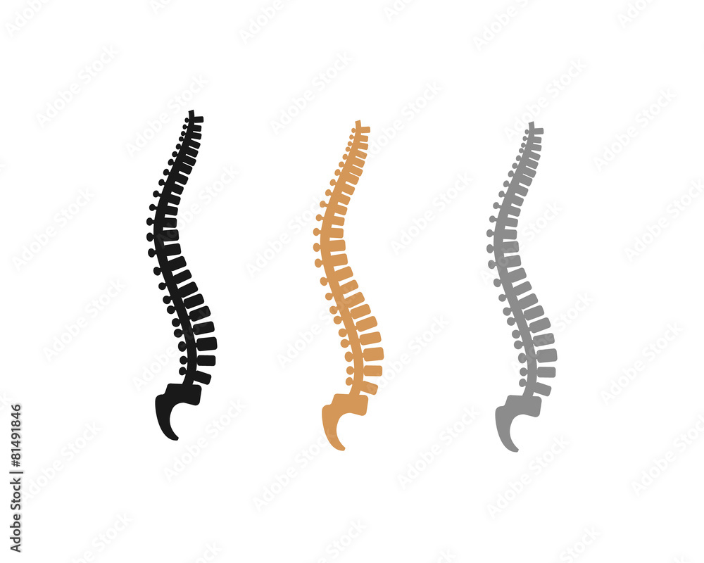 Simple Spine Vector