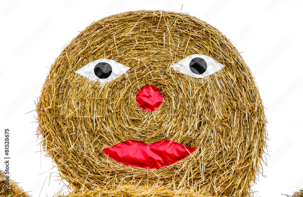 Strohmann Stock-Foto | Adobe Stock