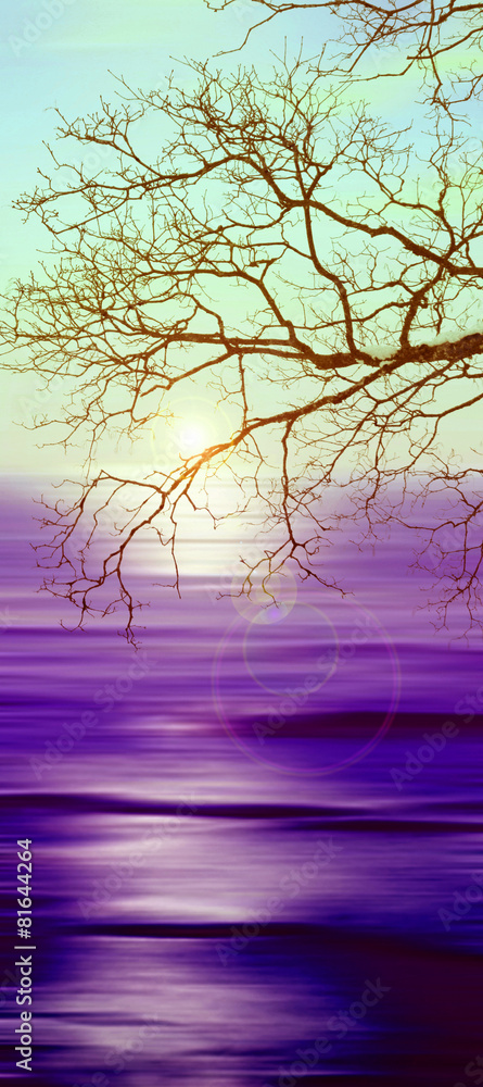 Beautiful landscape with birds Stock Illustration | Adobe Stock