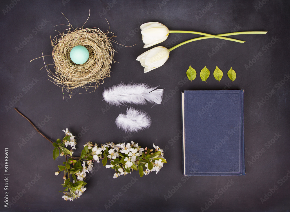 A collection of spring items Stock Photo | Adobe Stock