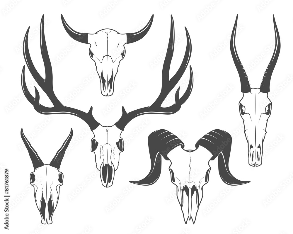 Animal skulls set Stock Vector | Adobe Stock