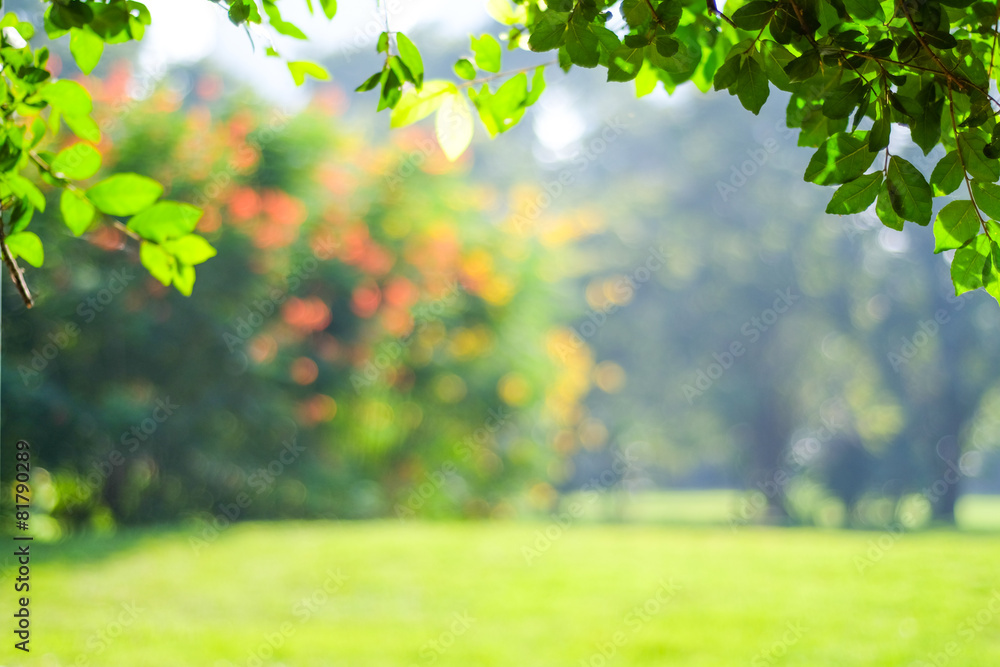 Blurry Nature Background