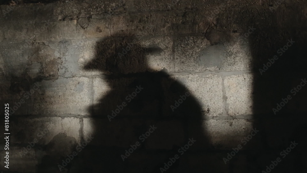 Woman in tears runs away from an attacker, their shadows on the Stock ...