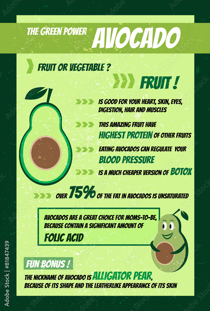 Beautiful modern avocado infographic flat design Stock Vector | Adobe Stock