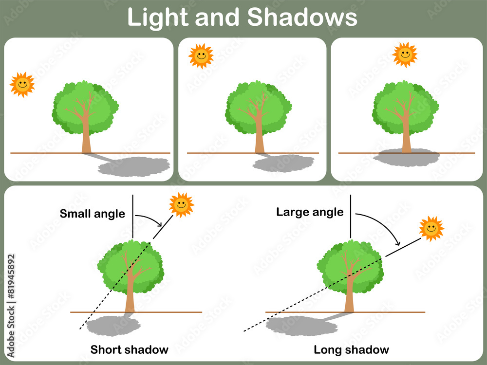 Leaning light and shadow for kids - Worksheet Stock Vector | Adobe Stock