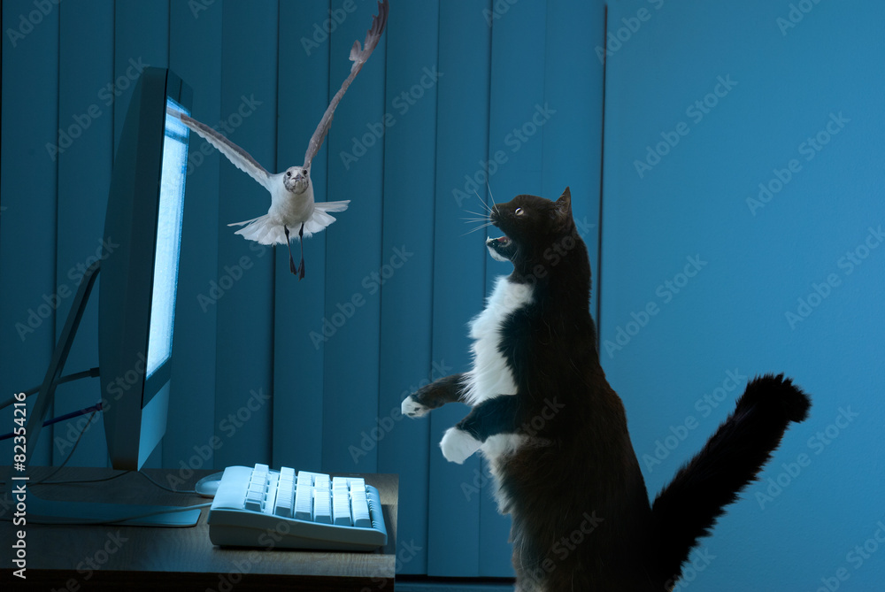 Excited computer user cat with bird coming out of monitor Stock Photo ...