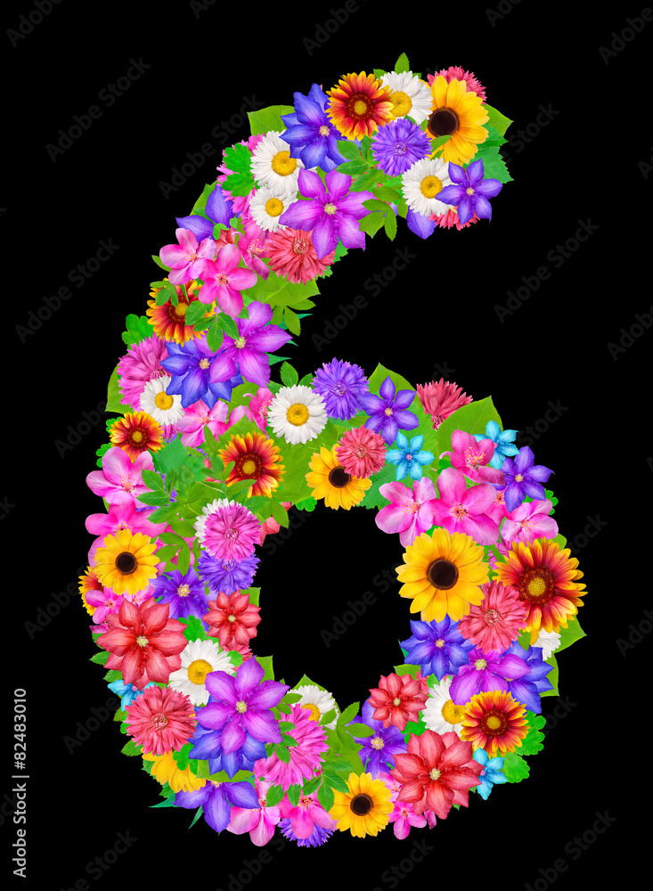 number 6 made from flowers Stock Illustration | Adobe Stock
