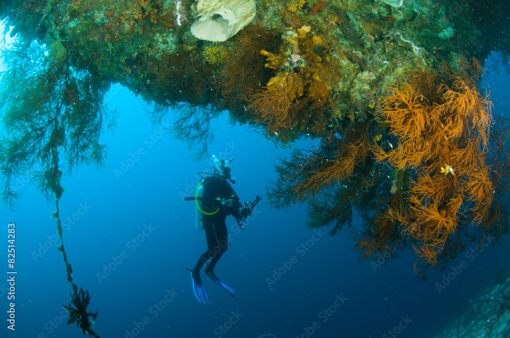 scuba diving diver kapoposang sulawesi indonesia underwater Stock Photo ...