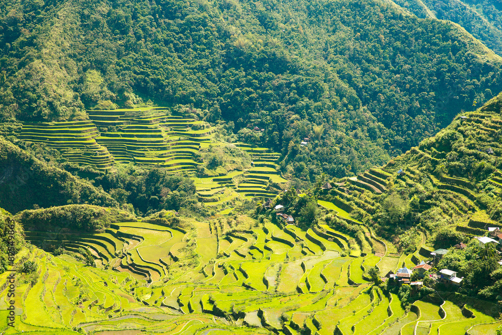 Rice terraces in the Philippines. The village is in a valley amo Stock ...