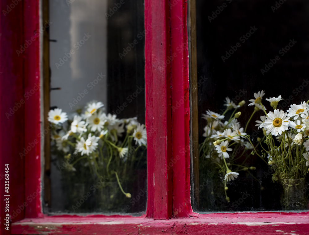 Pencere önü papatya Stock Photo | Adobe Stock