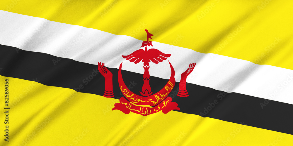 Flag of Brunei Stock Photo | Adobe Stock