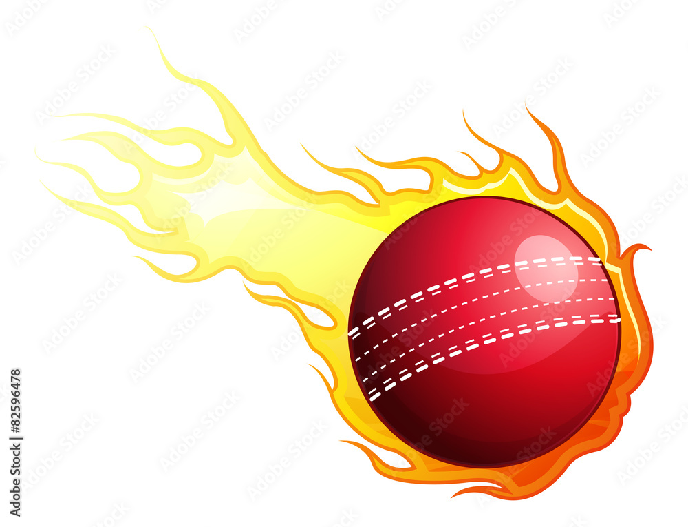 Cricket Ball Stock Vector | Adobe Stock