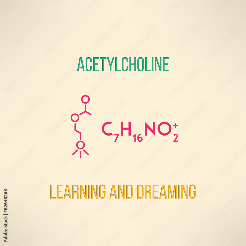 Acetylcholine Molecule