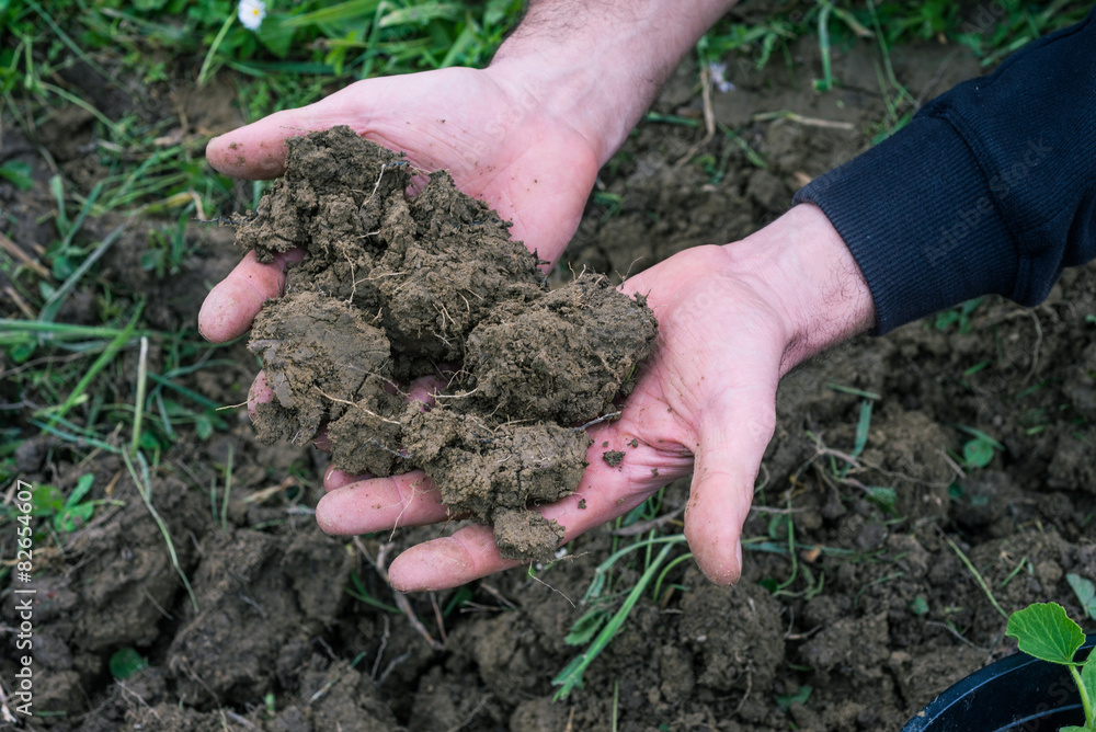 Zolla, terra fertile, sviluppo curare, agricoltura foto de Stock ...