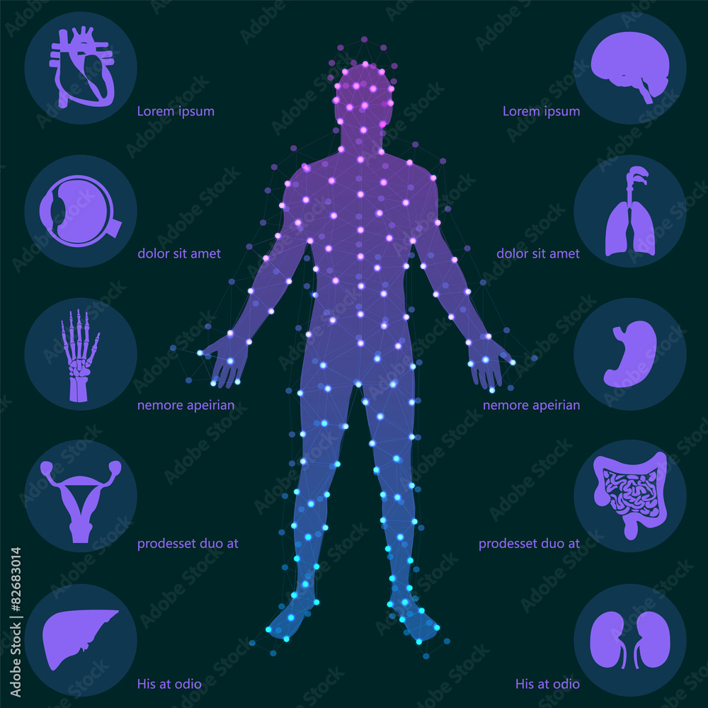 Medical background. Human anatomy. Stock Vector | Adobe Stock